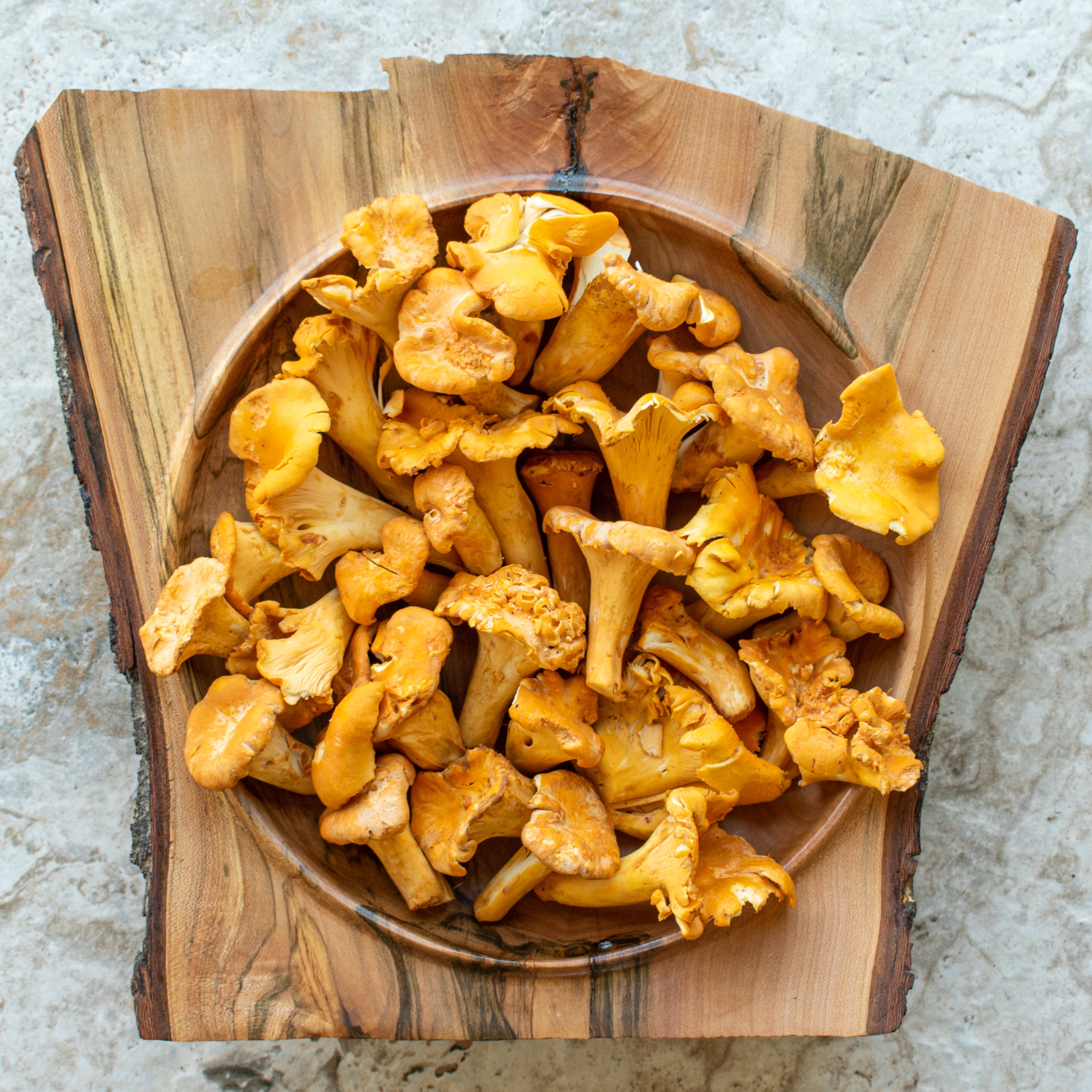 Chanterelle Mushrooms – Wild, Golden, and Aromatic
