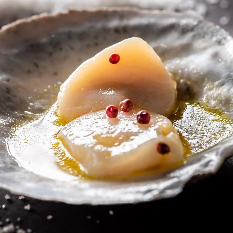 Live Sea Scallops