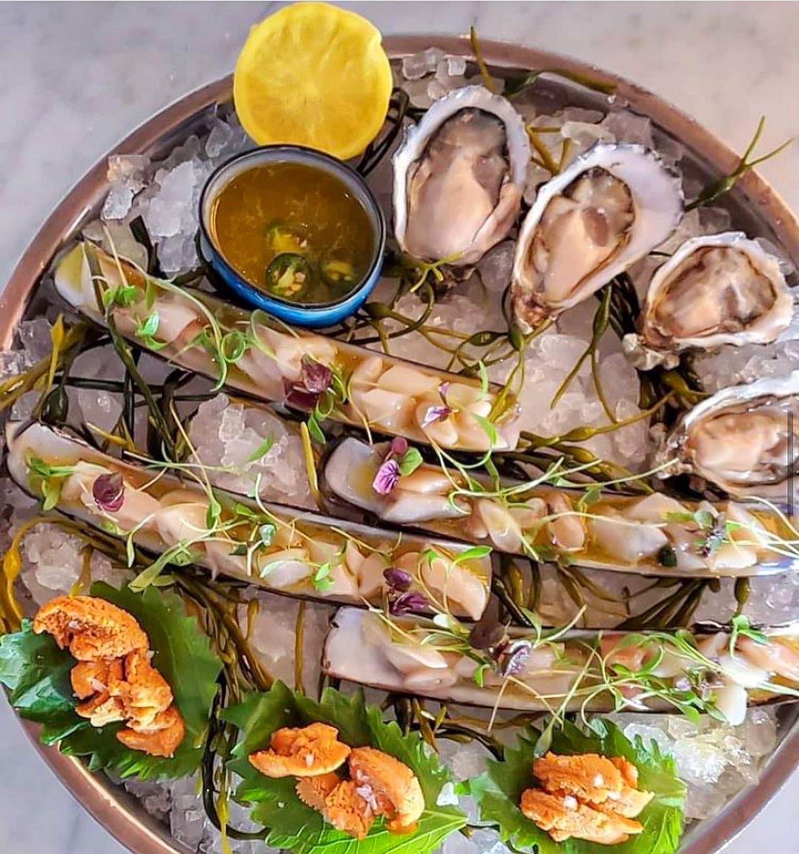 Live Razor Clams - Buy Razor Clams Online | E-Fish.com